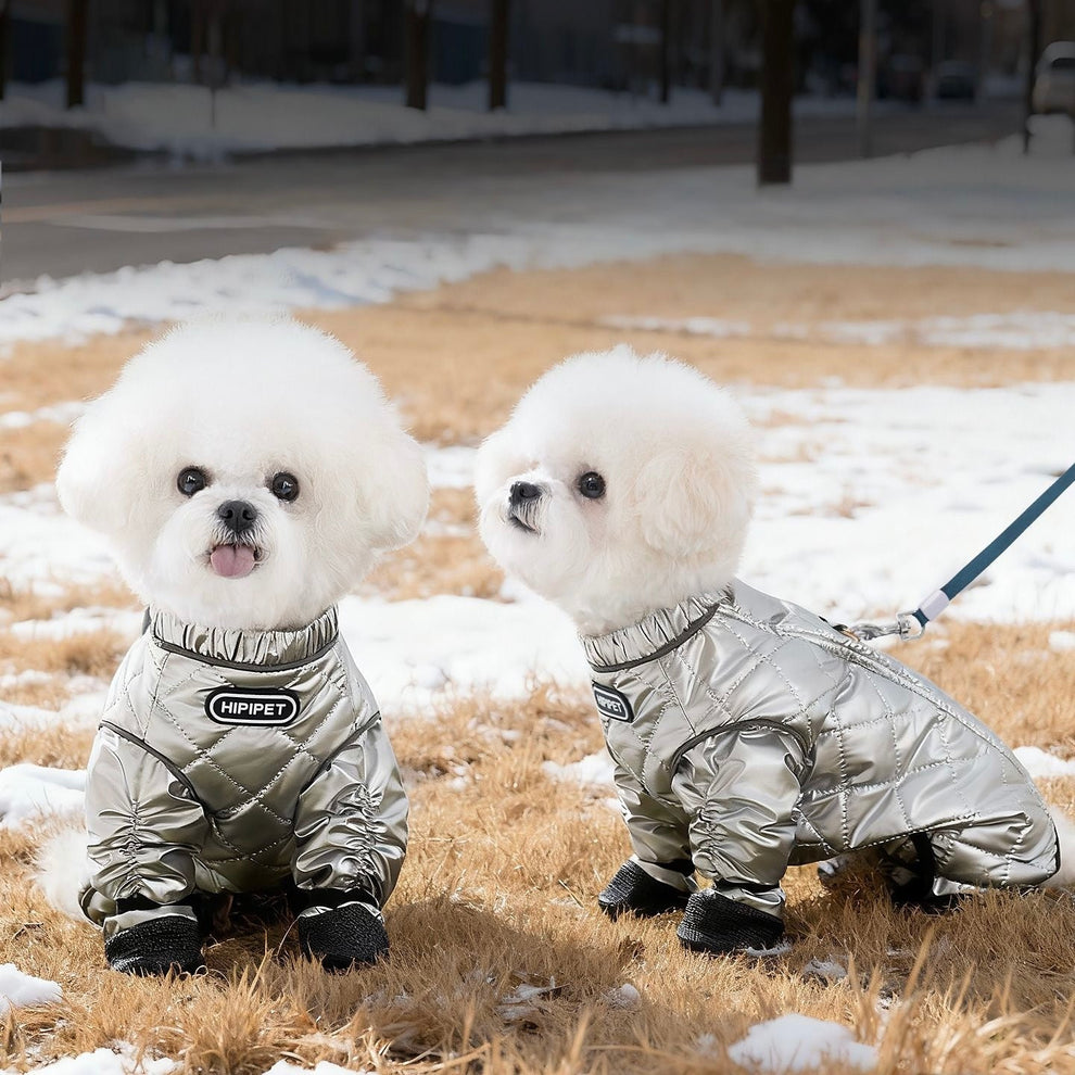 Four-Legged Pants For Teddy Dogs – PetsLoveStory®
